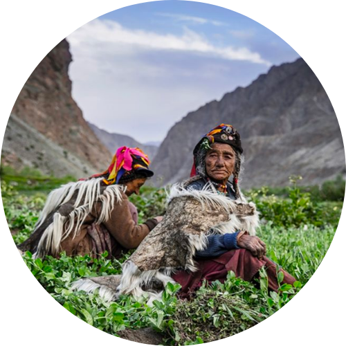 Authentic, Indigenous and Organic Products of Ladakh | Ladakh Basket