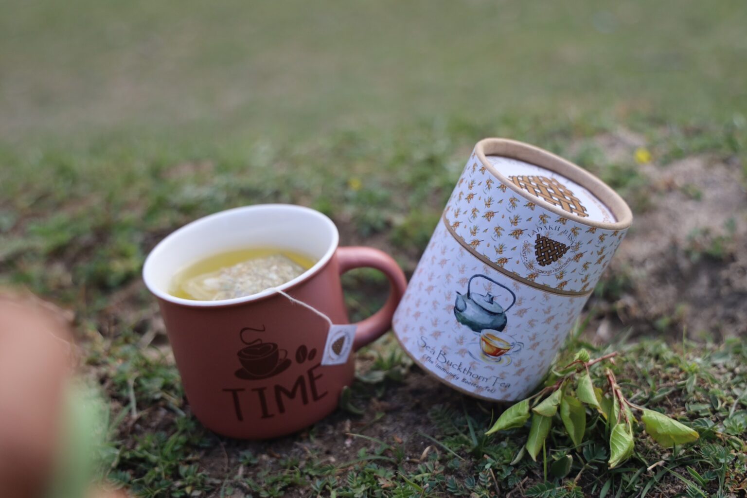 Seabuckthorn Tea | Ladakh Basket